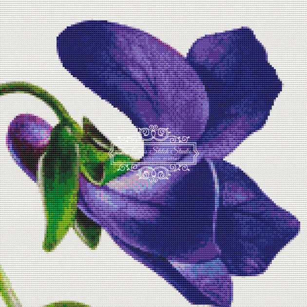 Watercolor Violets Cross Stitch Pattern | The Cross Stitch Studio | The Cross Stitch Studio
