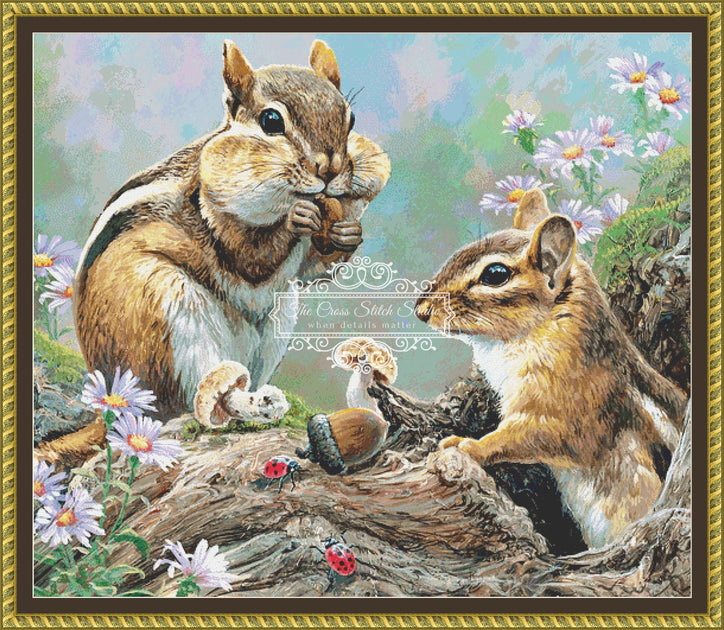 Chipmunk Cross Stitch Pattern | The Cross Stitch Studio | The Cross ...